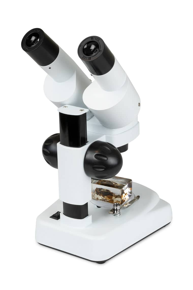CELESTRON LABS S20 ANGLED STEREO MICROSCOPE - MenaOptics (ProVerse LLC)